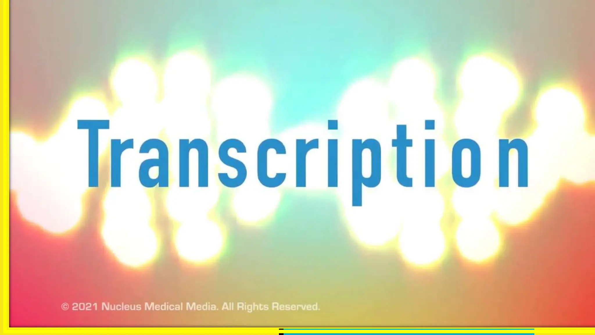 dna transcription and the translation.pptx