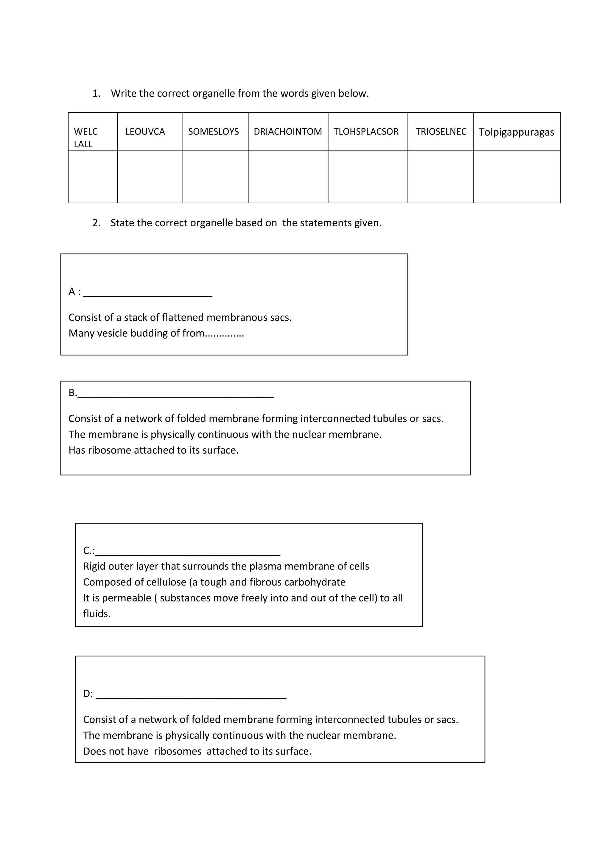 Assignment cell (organelle) | PDF