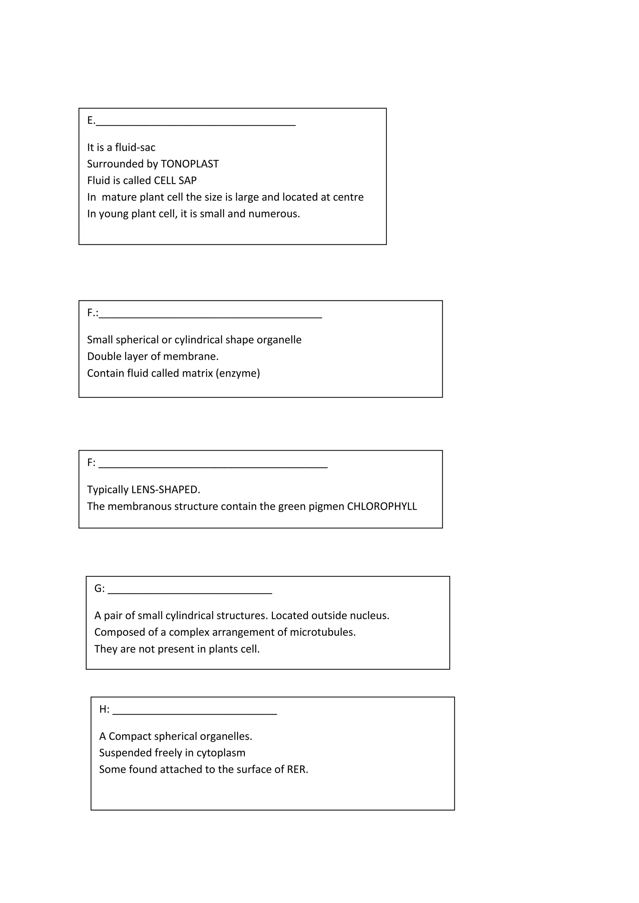 Assignment cell (organelle) | DOCX