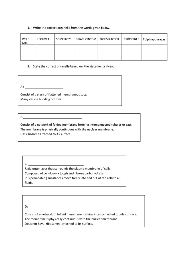 Assignment cell (organelle) | PDF