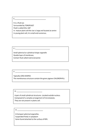 Assignment cell (organelle) | PDF