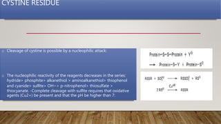 chemical properties of protein | PPTX