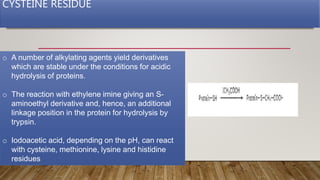 chemical properties of protein | PPTX