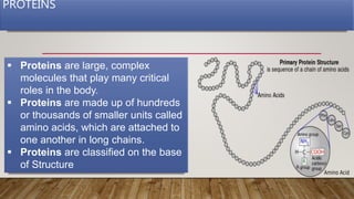 chemical properties of protein | PPTX