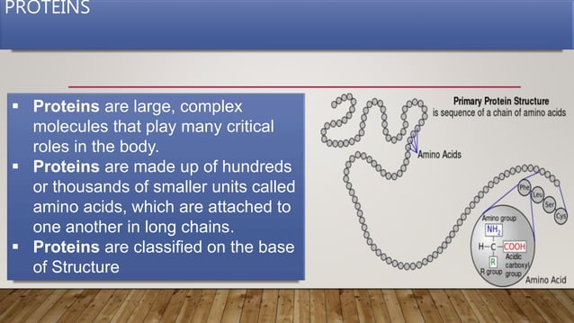 chemical properties of protein | PPTX | Chemistry | Science
