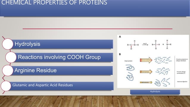 chemical properties of protein | PPTX | Chemistry | Science