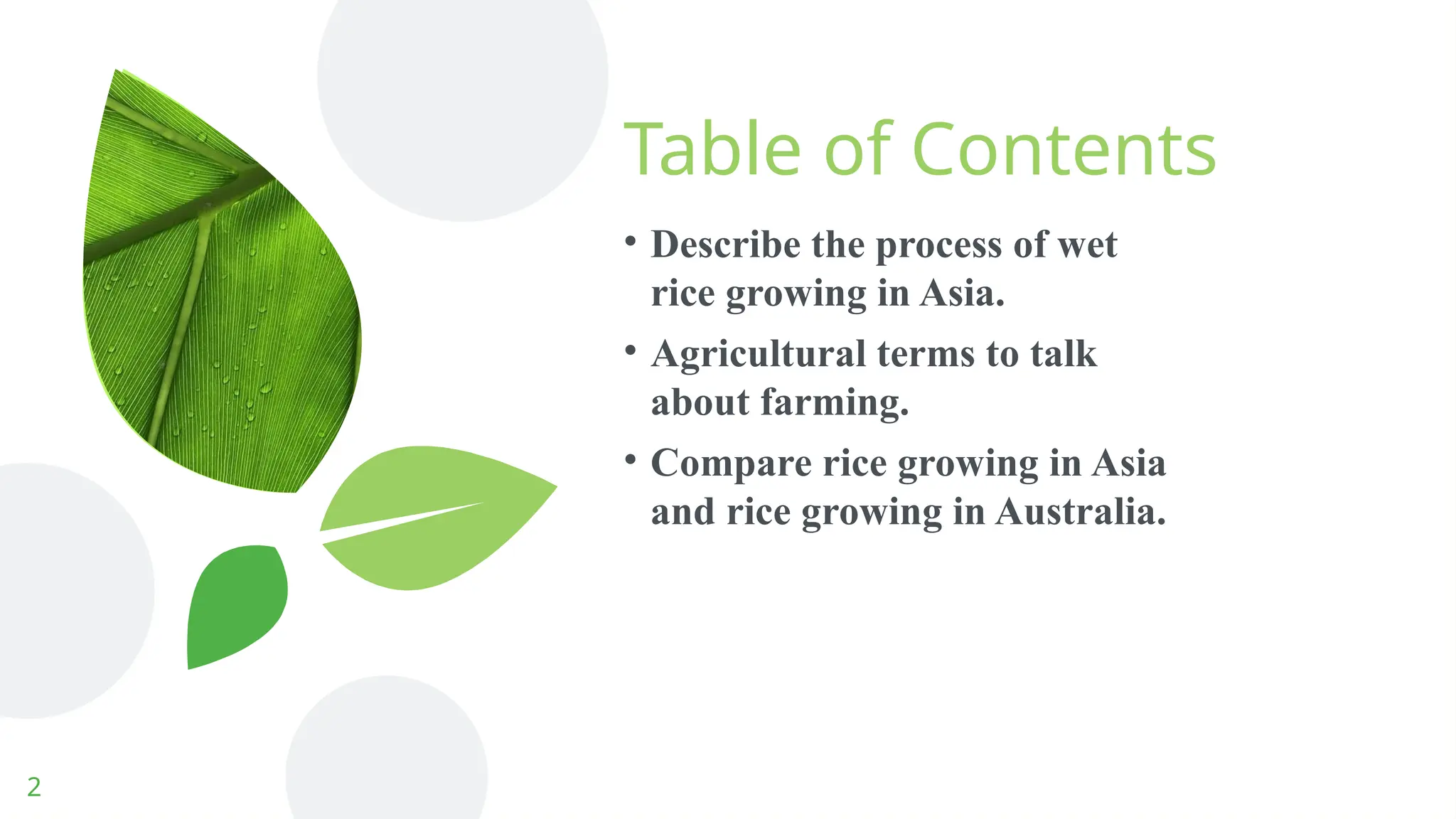 RICE GROWING IN SOUTH EAST ASIA SLIDE.pptx