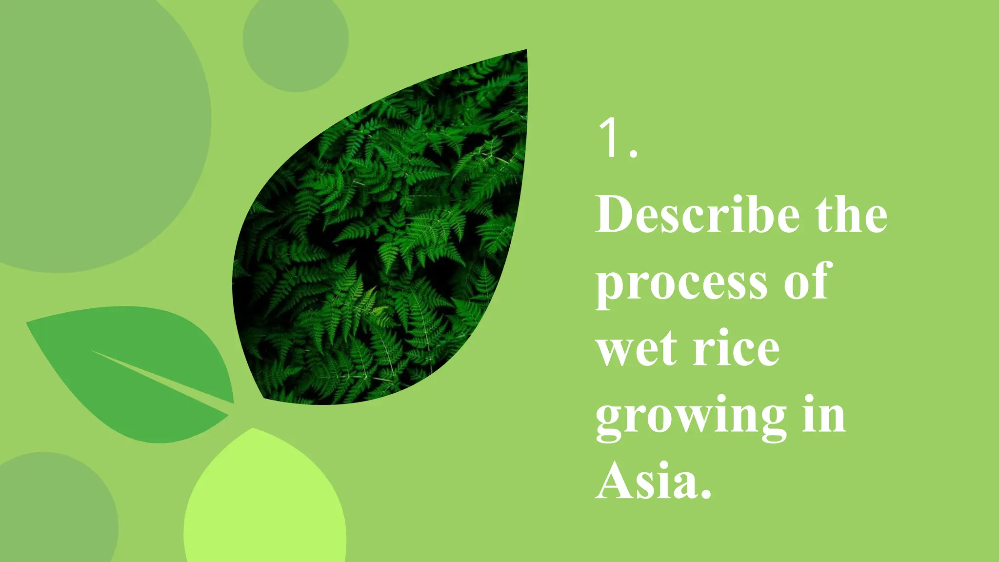 RICE GROWING IN SOUTH EAST ASIA SLIDE.pptx