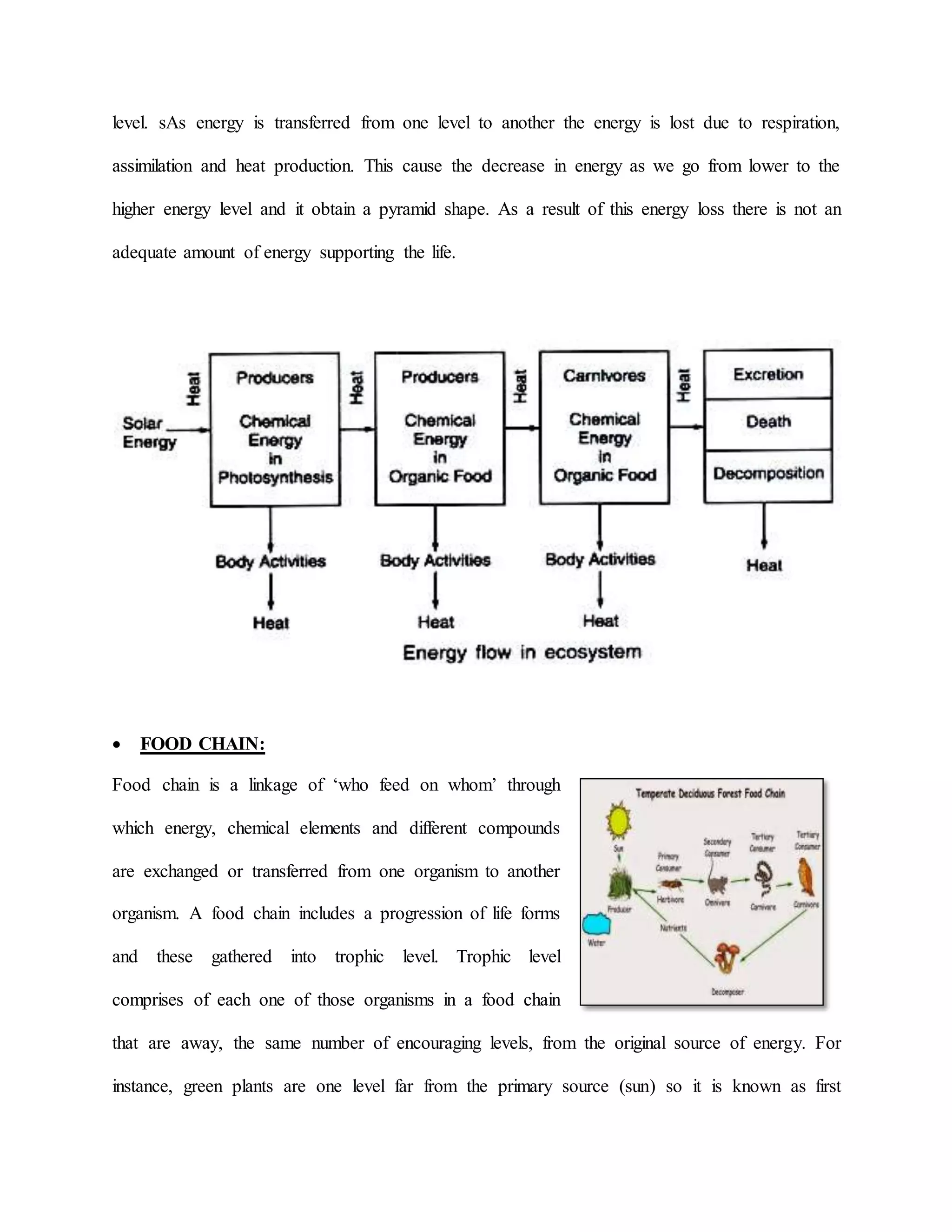 Primary and secondary production, landscape ecology and ecological ...