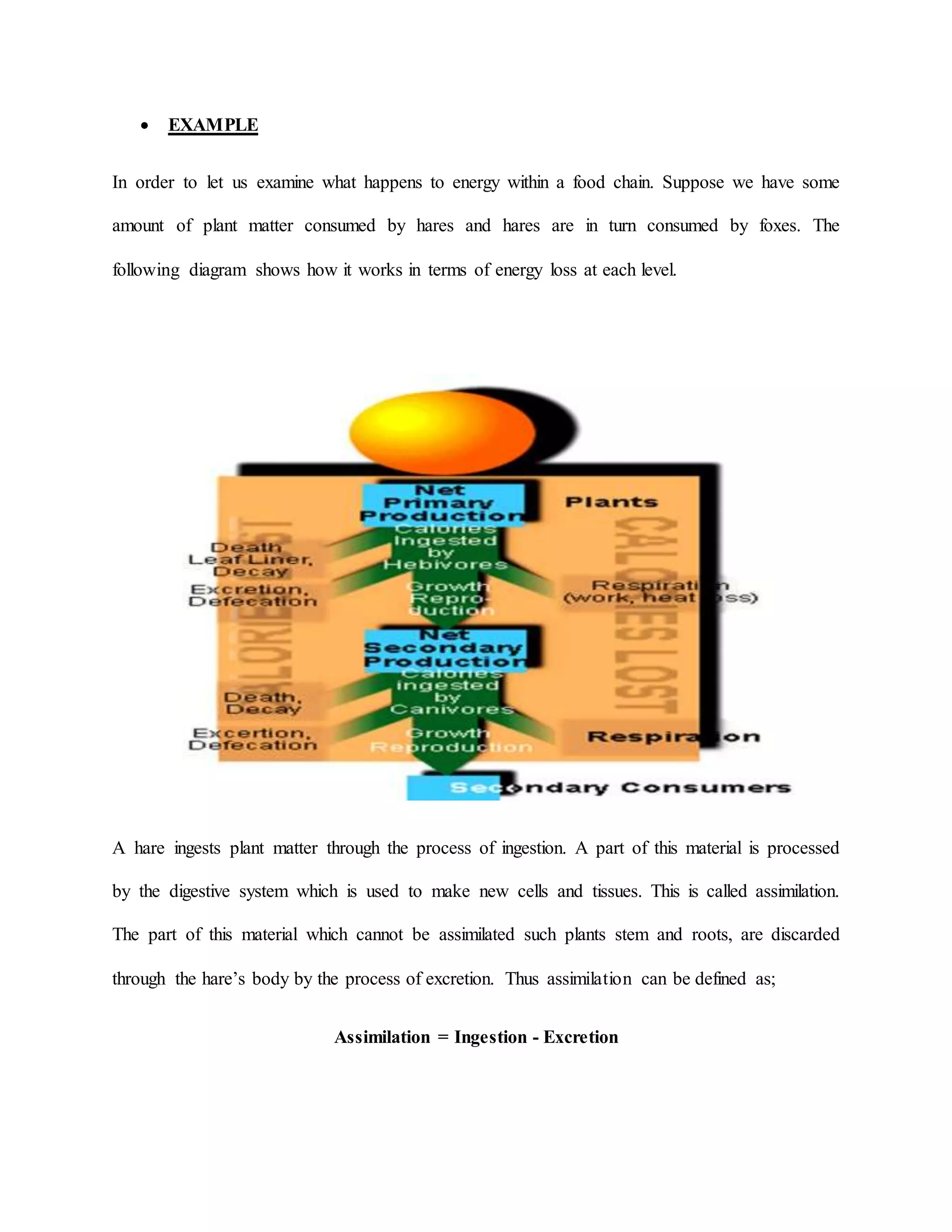 Primary and secondary production, landscape ecology and ecological ...