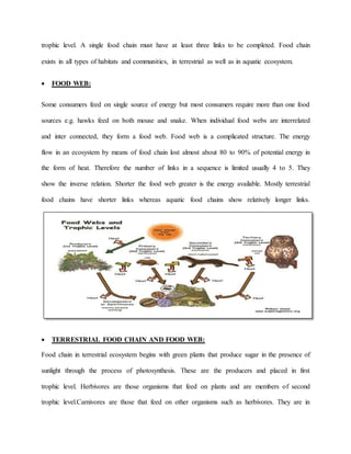 Primary and secondary production, landscape ecology and ecological ...