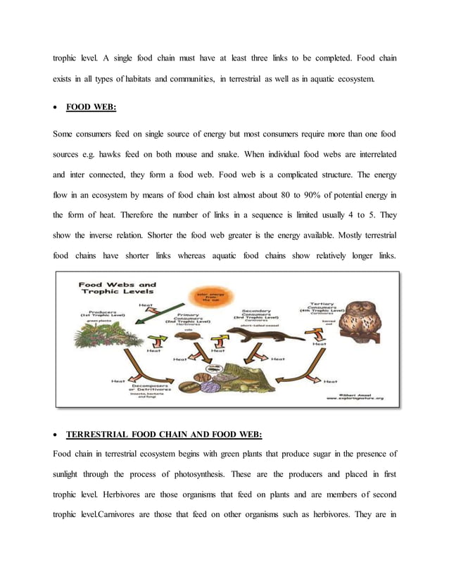 Primary and secondary production, landscape ecology and ecological modeling. | DOCX