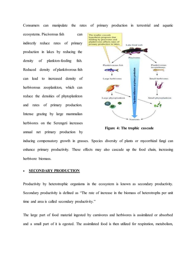 Primary and secondary production, landscape ecology and ecological modeling. | DOCX