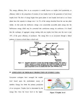 Primary and secondary production, landscape ecology and ecological ...
