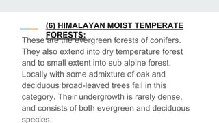 Assignment forestry and watershed management/ types of forestry ...
