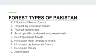 Assignment forestry and watershed management/ types of forestry ...