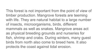 Assignment forestry and watershed management/ types of forestry/ tropical zones of forestry | PPTX