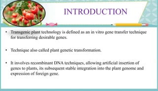 Transgenic plants | PPTX
