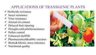 Transgenic plants | PPTX