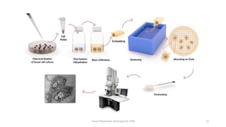 (Assignment Group 02) Histology Tissue preparation technique for TEM.ppt