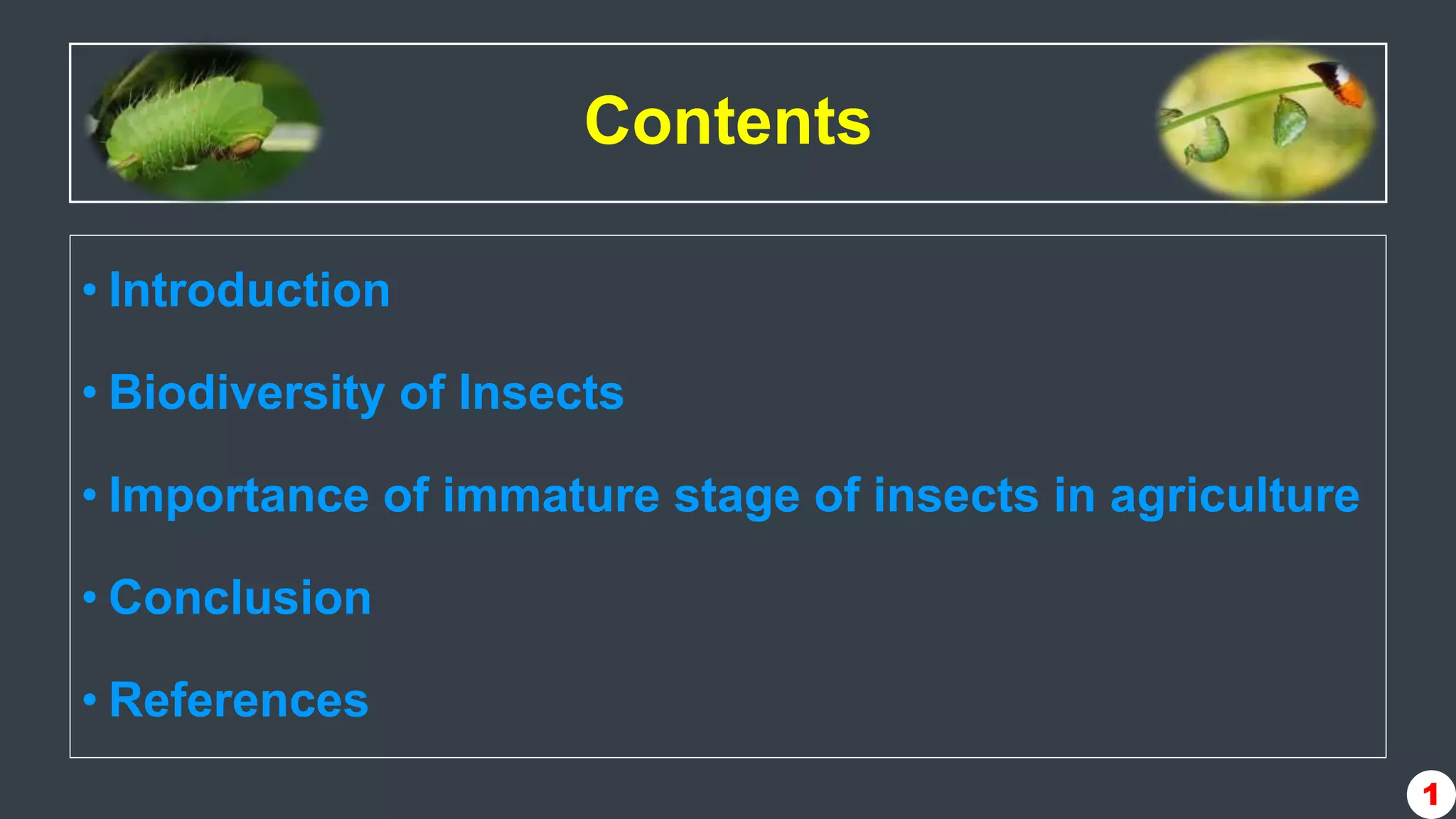 Importance of study of immature stages of insects in agriculture | PPTX
