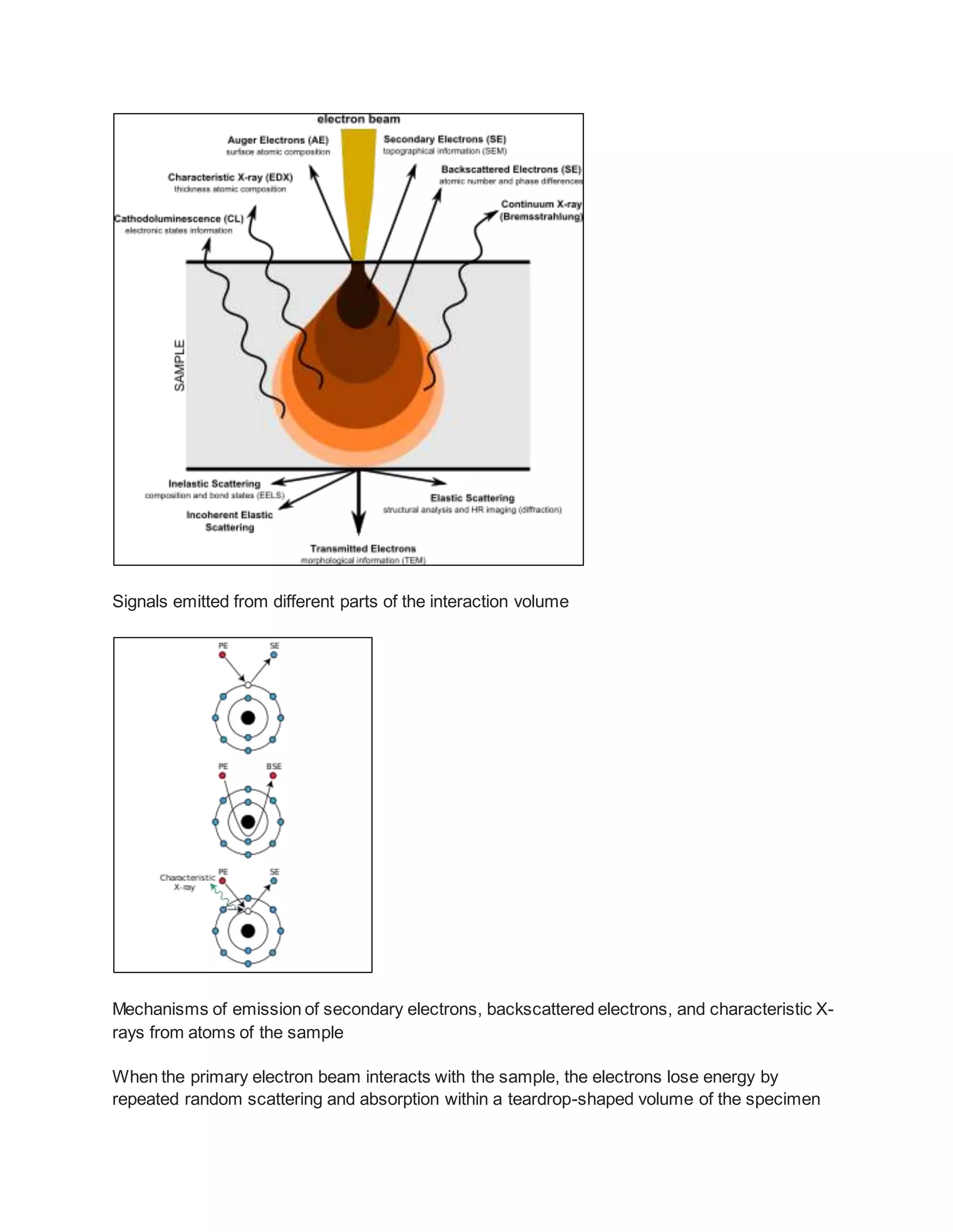 general microbiology | DOCX
