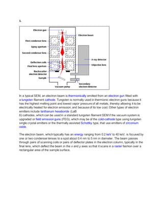 general microbiology | PDF