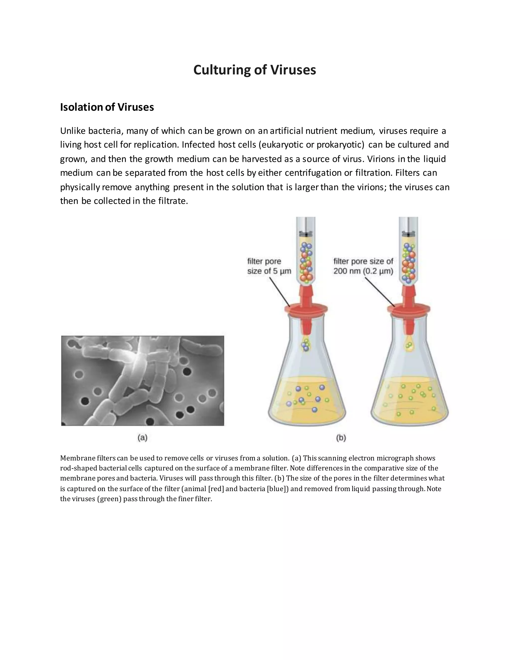 virus culturing and prions | PDF