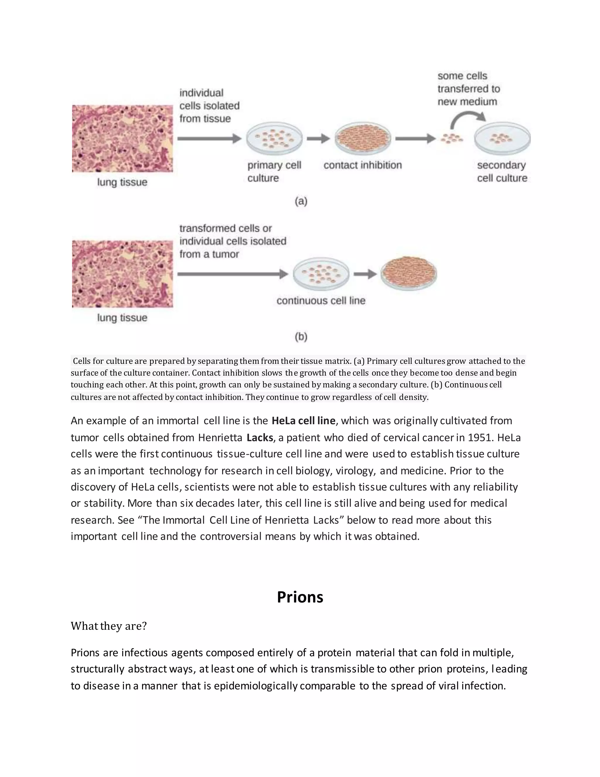 virus culturing and prions | PDF
