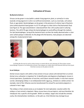 virus culturing and prions | PDF