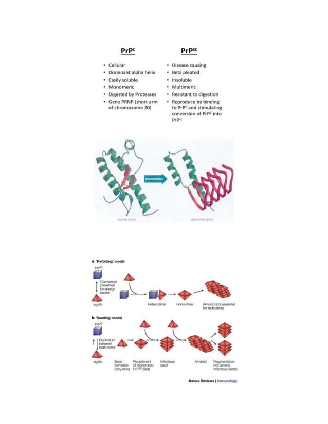 virus culturing and prions | PDF