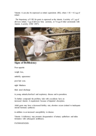 Causes of outbreak of an abortion in goats during the scarcity of green ...