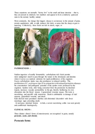 Causes of outbreak of an abortion in goats during the scarcity of green ...