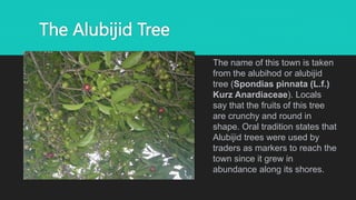 Assignment No 1.pptx