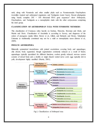 Phylum Arthropoda Tree