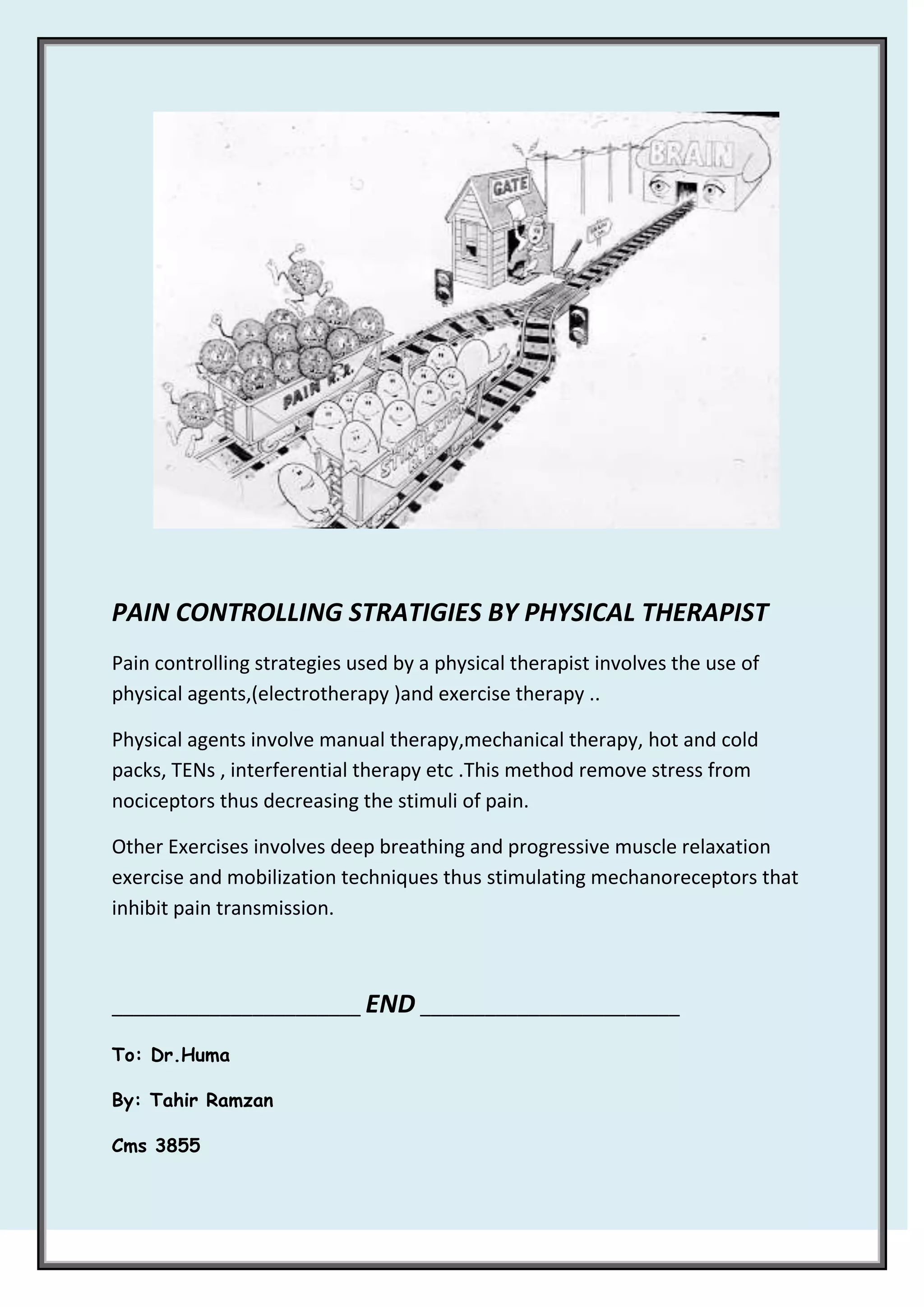 Pain perception , transmission, control & role of physical therapist | DOCX