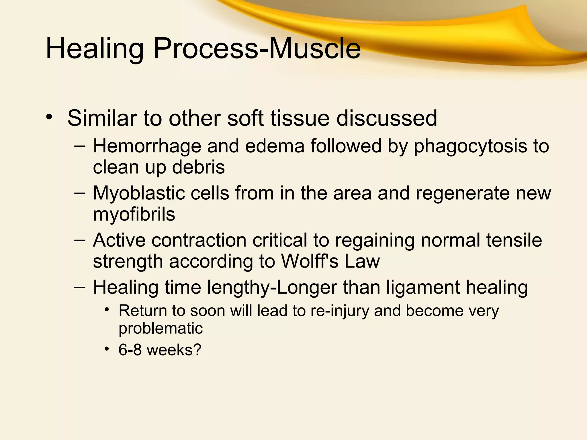 Muscle Injury , Inflammation & repair | PPT