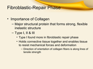 Muscle Injury , Inflammation & repair | PPT