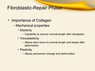 Muscle Injury , Inflammation & repair | PPT
