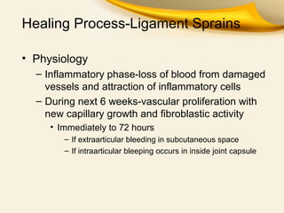 Muscle Injury , Inflammation & repair | PPT