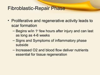 Muscle Injury , Inflammation & repair | PPT