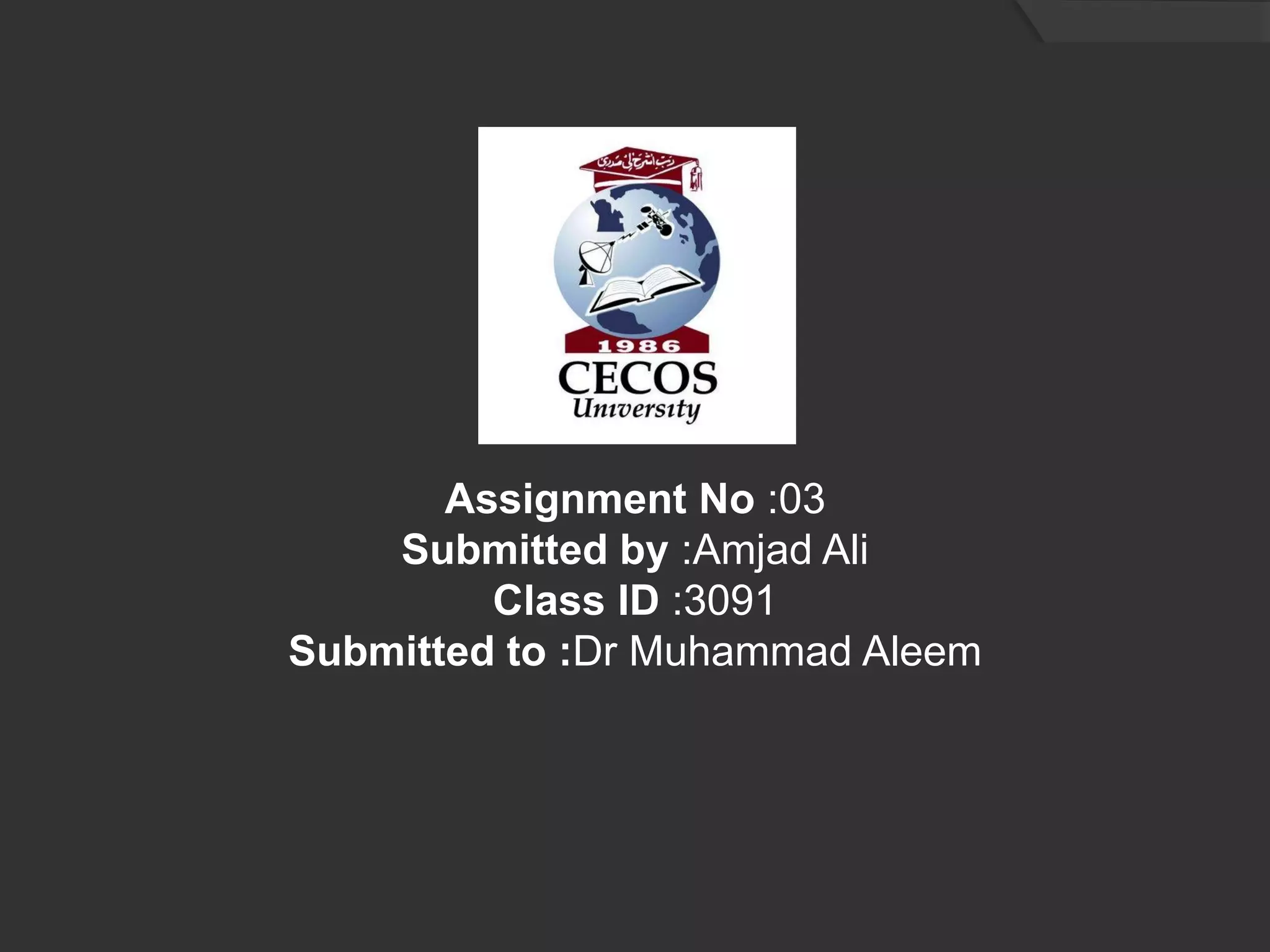 Assignment No 3 3091...pdf