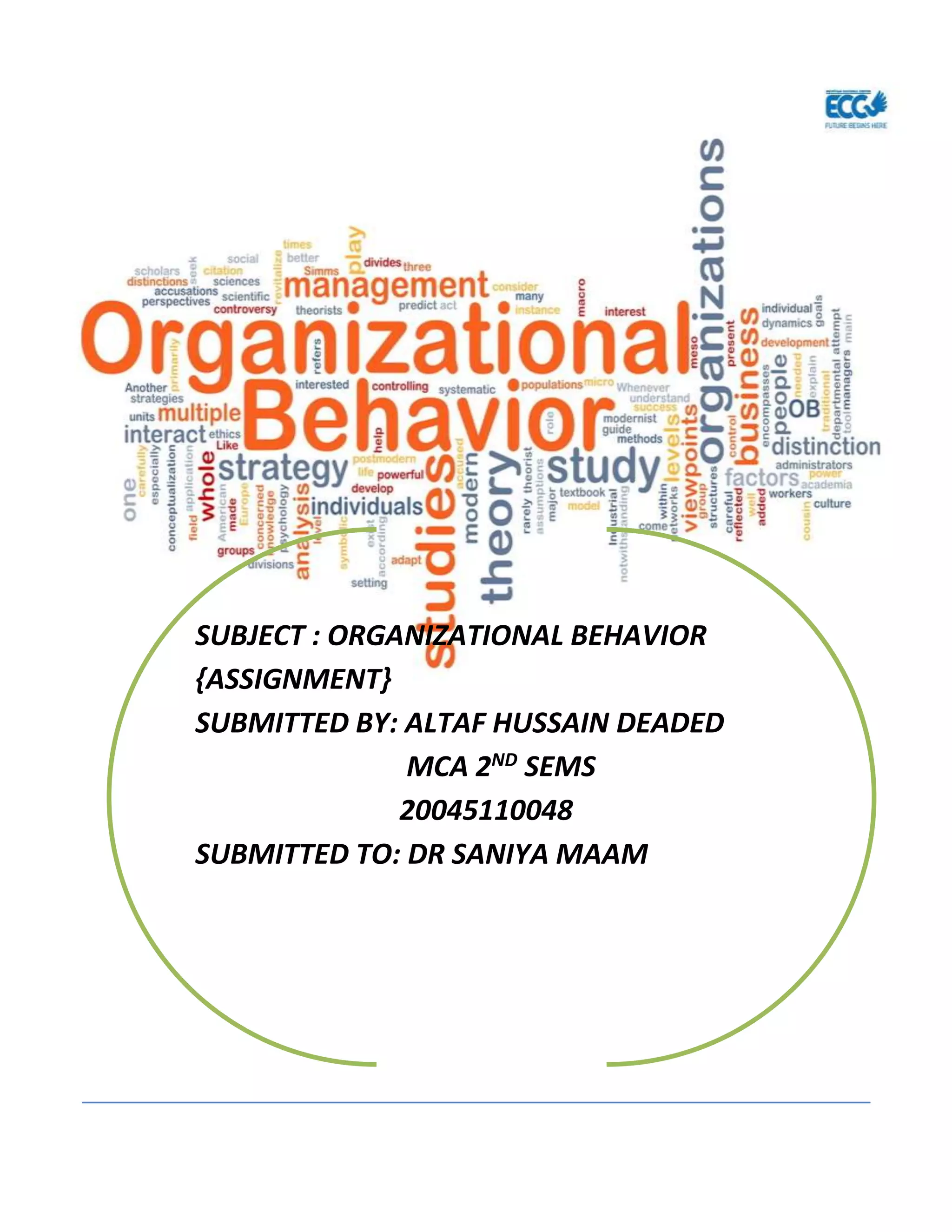 Assignment Organizational Behavior.docx