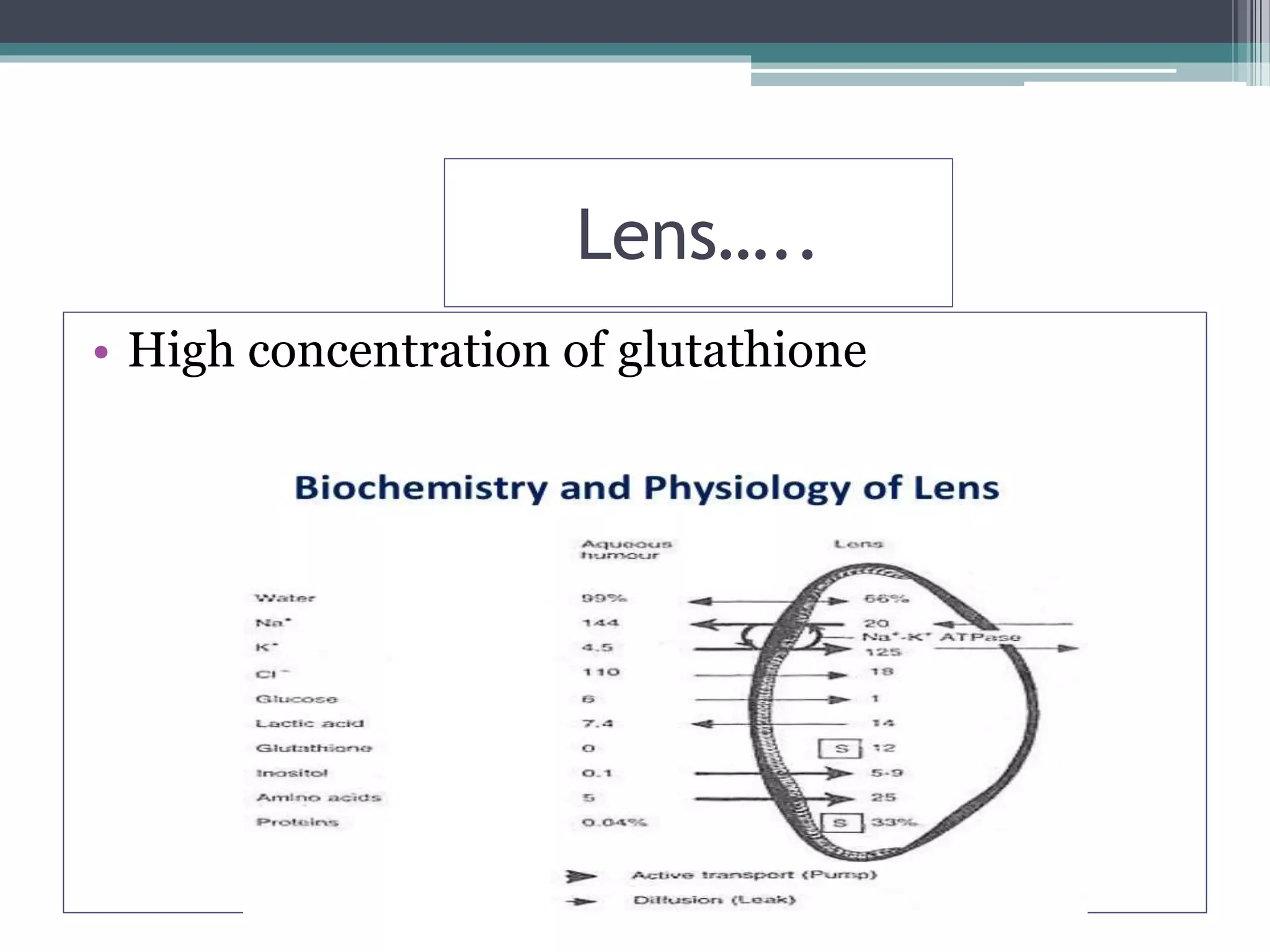 Eye--- Structu Composition of eye and biochemical events of visual ...