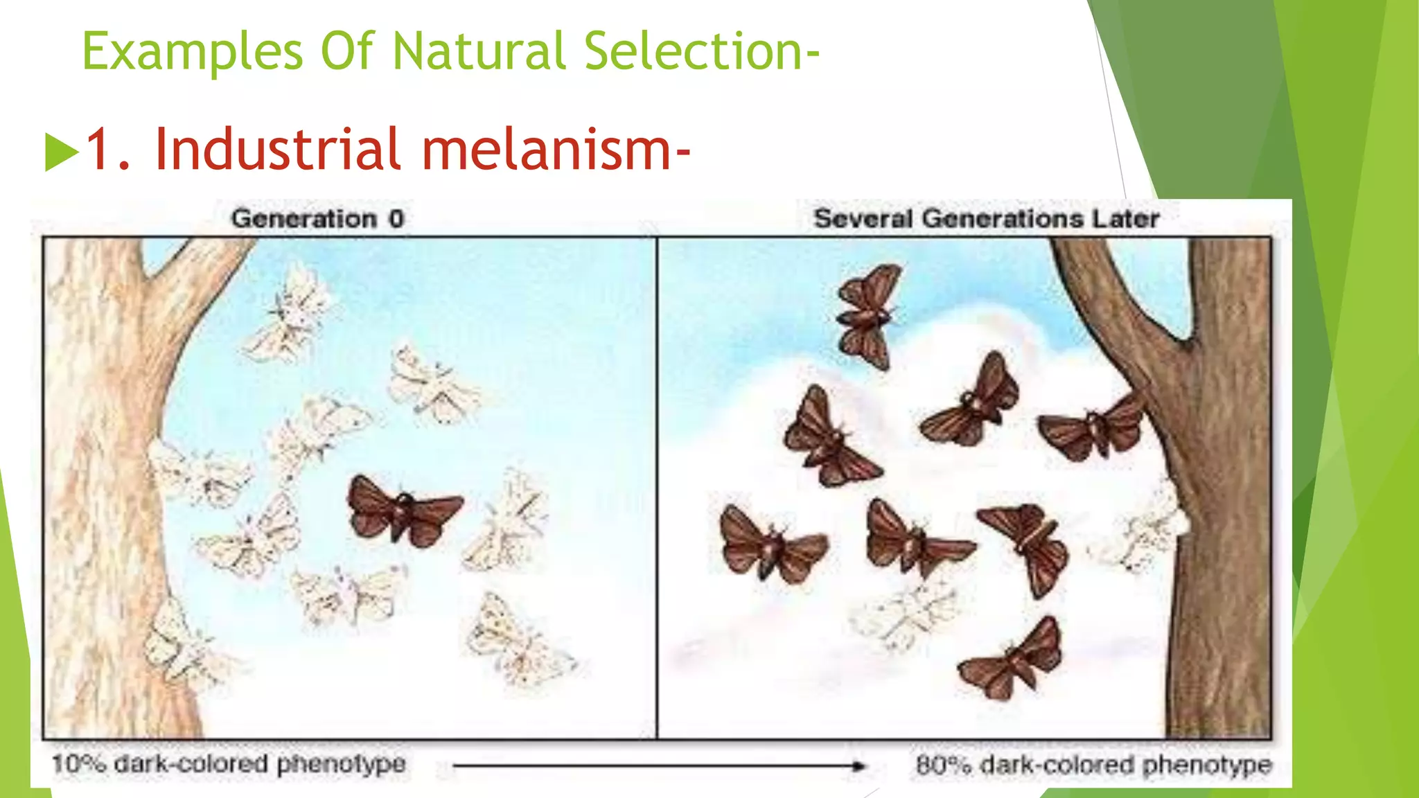 Neodarwinism or synthetic theory of evolution | PPTX