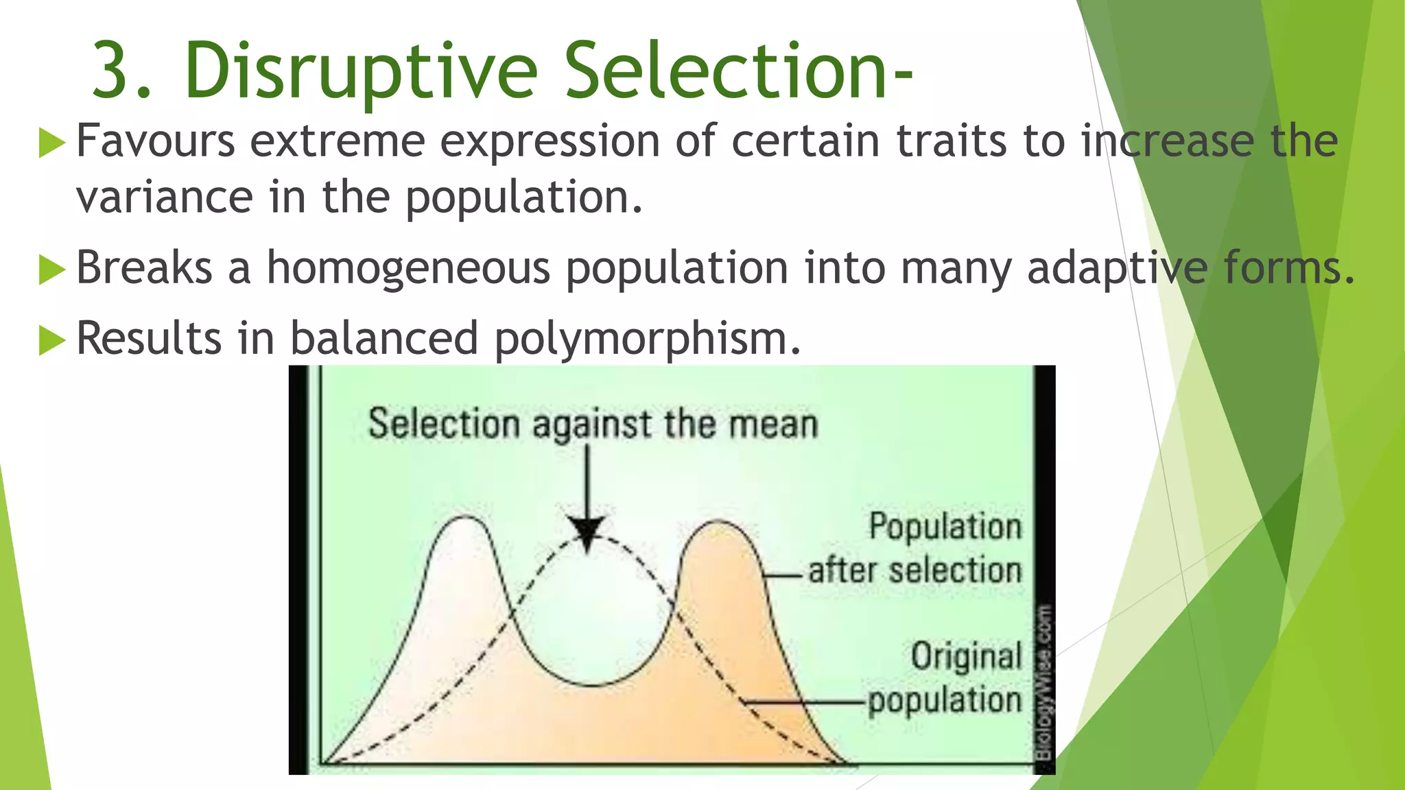 Neodarwinism or synthetic theory of evolution | PPTX