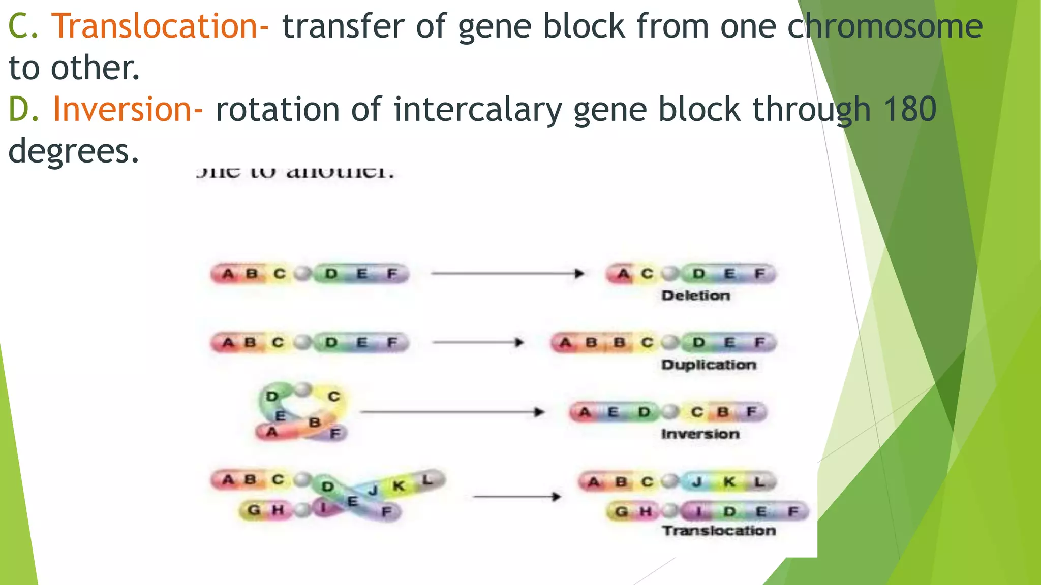 Neodarwinism or synthetic theory of evolution | PPTX