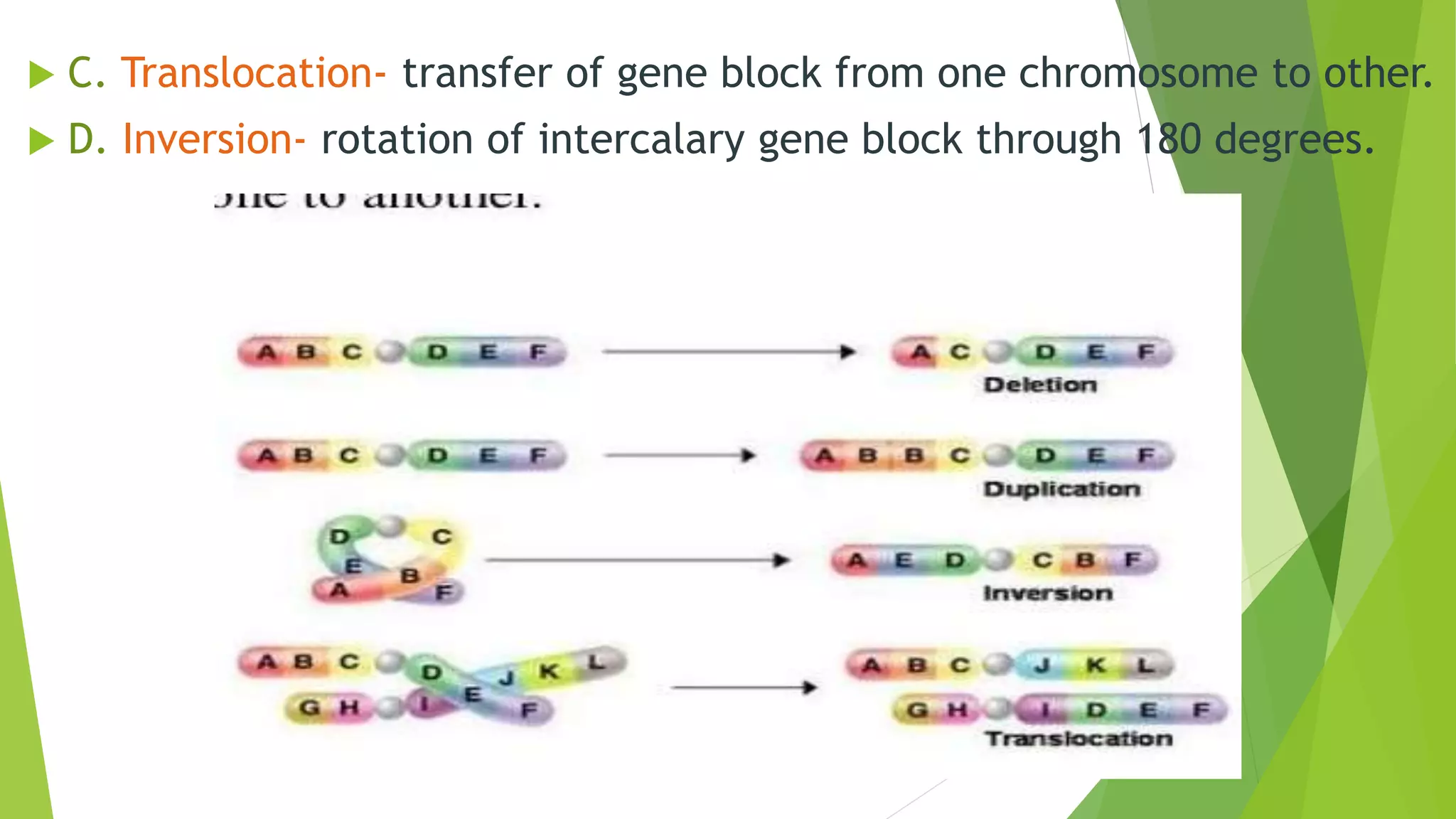 Neodarwinism or synthetic theory of evolution | PPTX