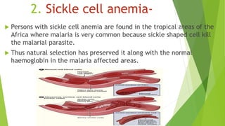 Neodarwinism or synthetic theory of evolution | PPTX