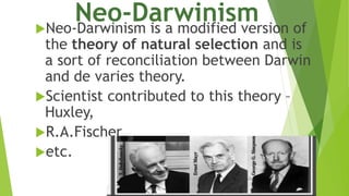 Neodarwinism or synthetic theory of evolution | PPTX